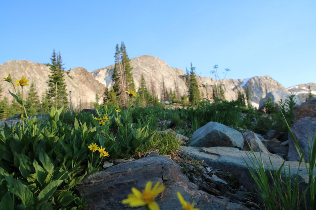 Snowy Range & Battle Pass Scenic Byway – Come Closer to America